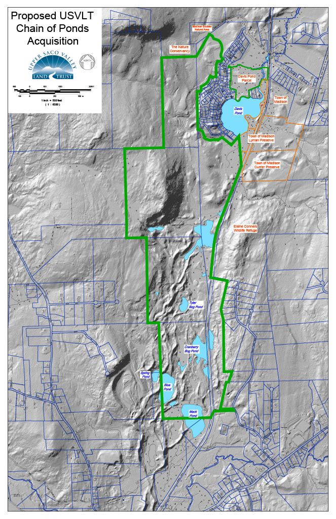 Chain of Ponds Community Forest - Upper Saco Valley Land Trust