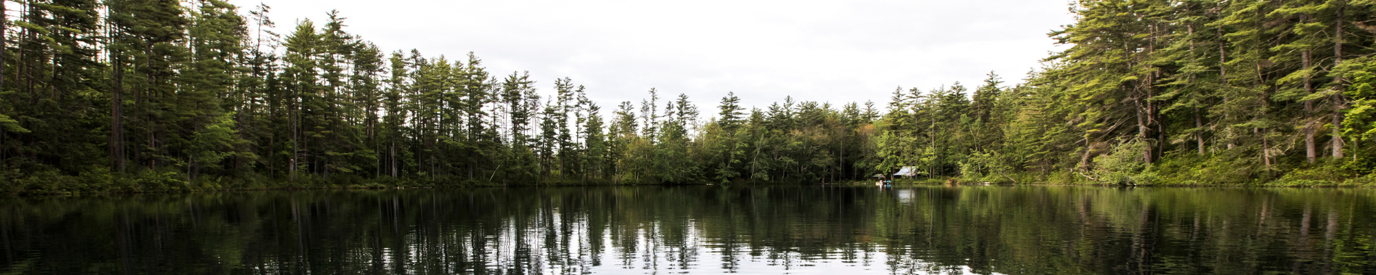 Chain of Ponds Community Forest - Upper Saco Valley Land Trust